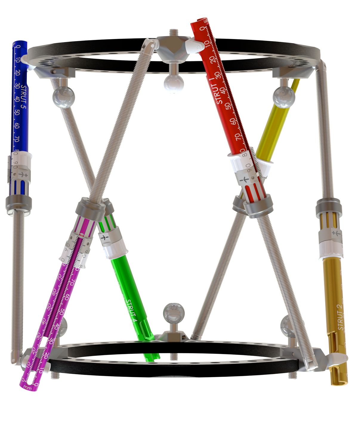 Hexapod External Fixation